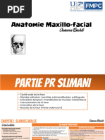Anatomie du diaphragme stylien | PDF | Tête et cou chez l'humain ...