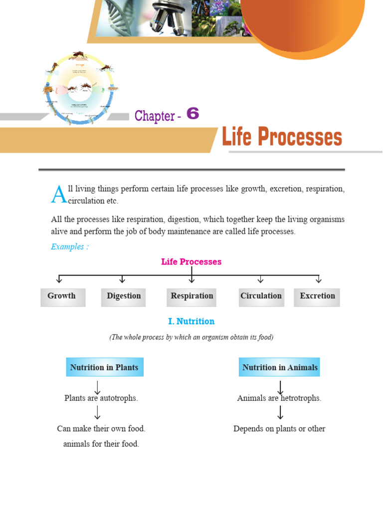 CH 6 (v.rausHAN NOTES) Class 10 Chapter 6 PDF | PDF | Respiratory ...