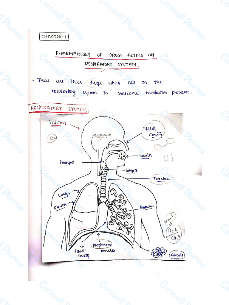Chapter 1, Unit 1, Pharmacology 3, B Pharmacy 6th Sem, Carewell Pharma | PDF | Human Head And ...