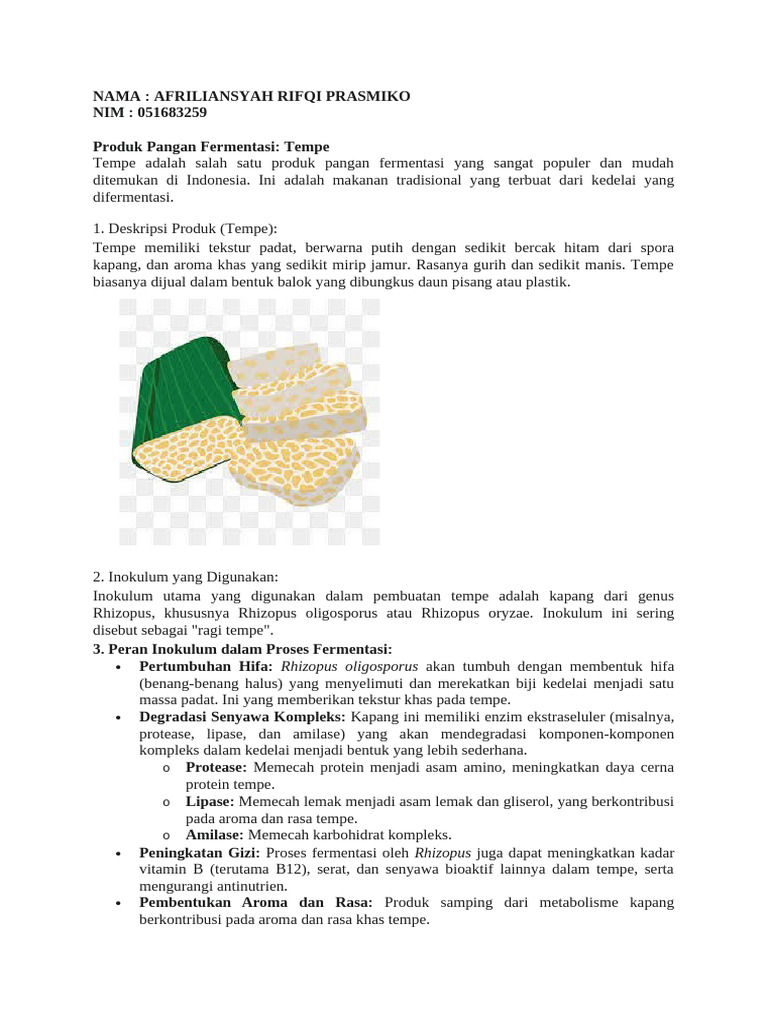 Proses Fermentasi Tempe dan Inokulum | PDF