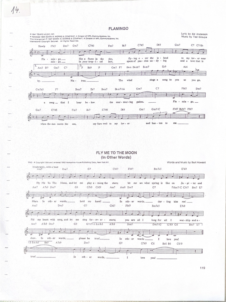14 Flamingo-Fly Me To The Moon | PDF