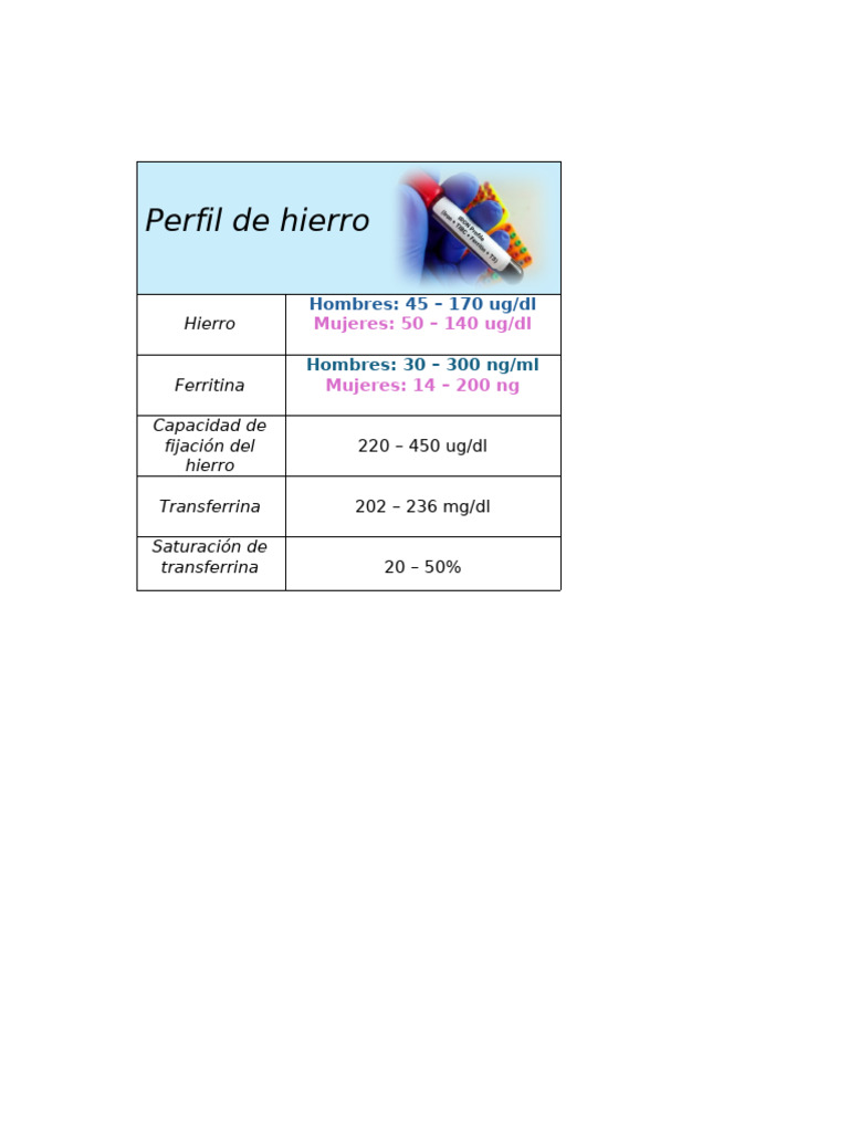Perfil de Hierro | PDF