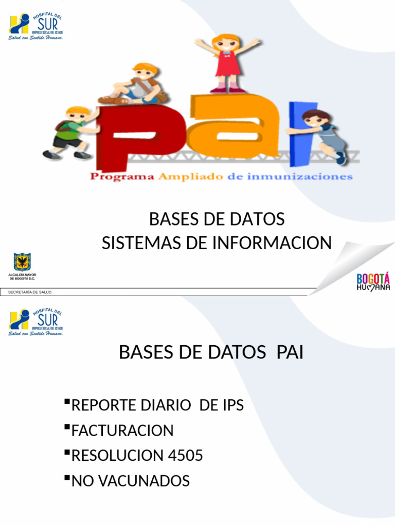 Presentacion Bases de Datos | PDF