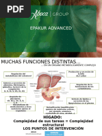 HEPAGRAS | PDF | Hígado | Bilis