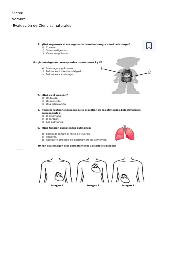 evaluación cuerpo humano | PDF