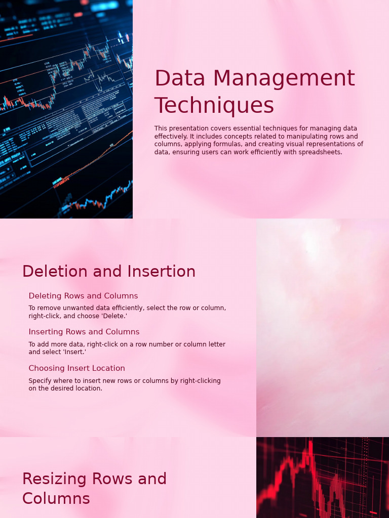 Data Management Techniques | PDF | Spreadsheet | Computing