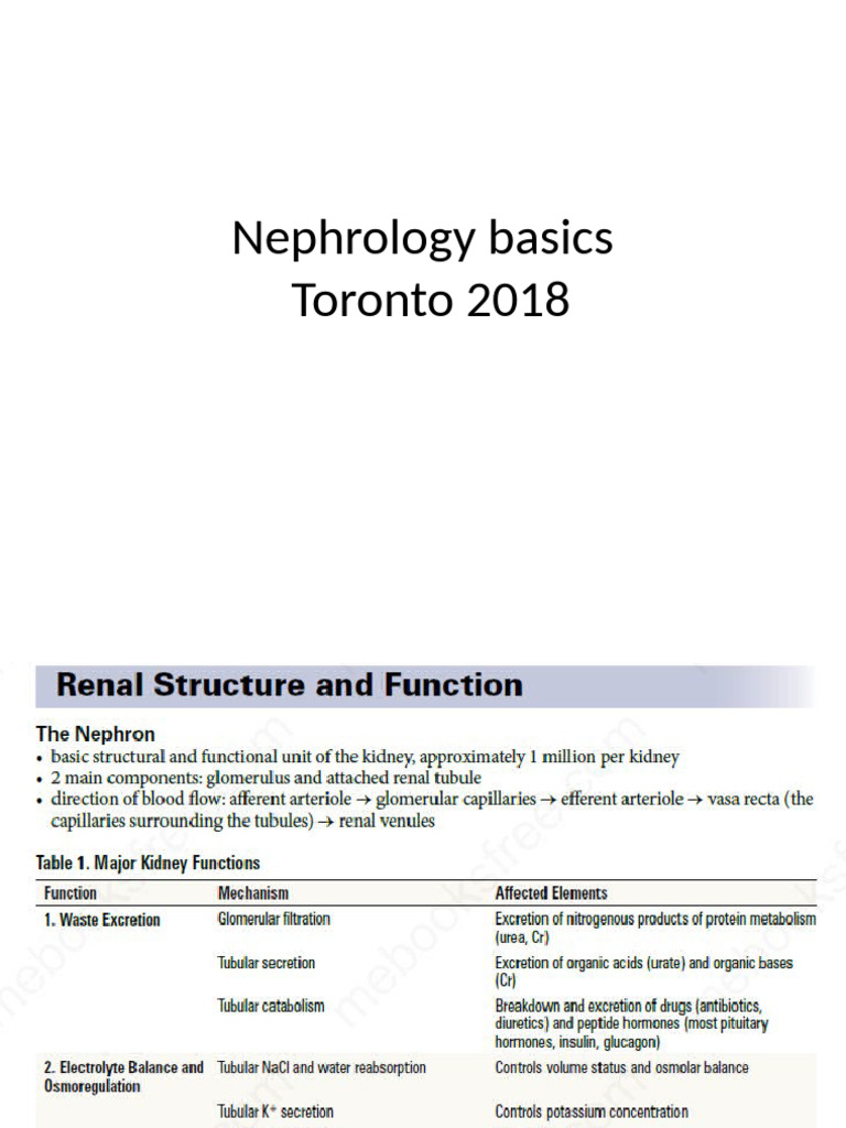 Nephrology Basics Summary | PDF