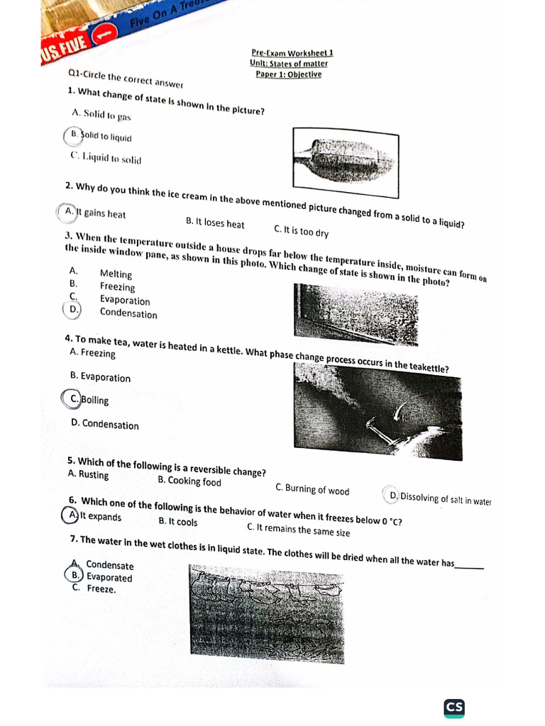Answer Sheet Science | PDF