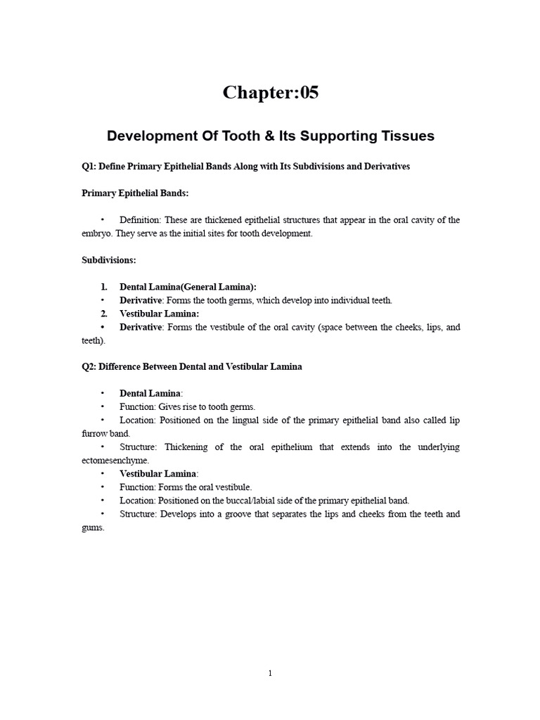 Chapter05 Development of Tooth & Its Suporting Tissues 1 | PDF | Human Tooth | Dental Anatomy