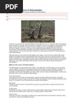 Schoology Guide | PDF | Quiz | Html