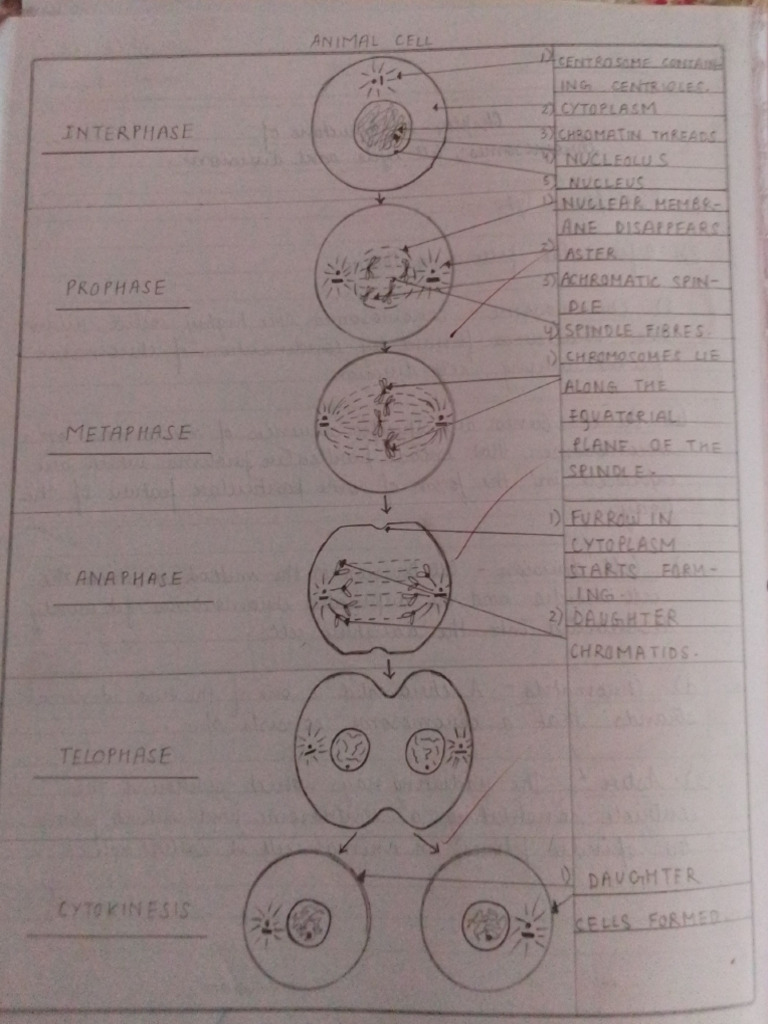 Scanned 20250525-1955 | PDF