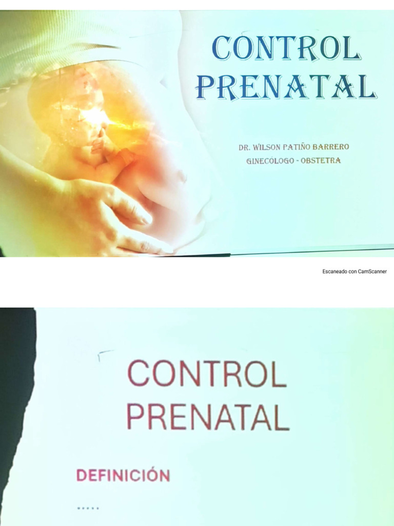 Control Prenatal | PDF