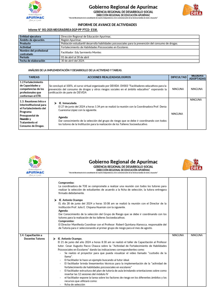 Informe Junio Corregido | PDF