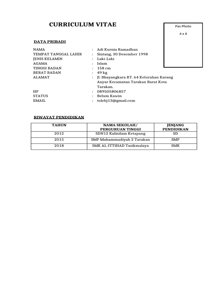 Contoh Format CV | PDF