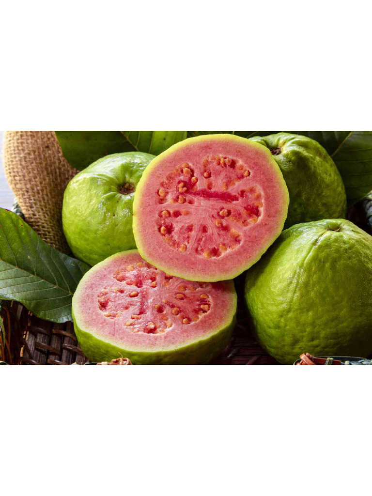 Guava Fruit | PDF