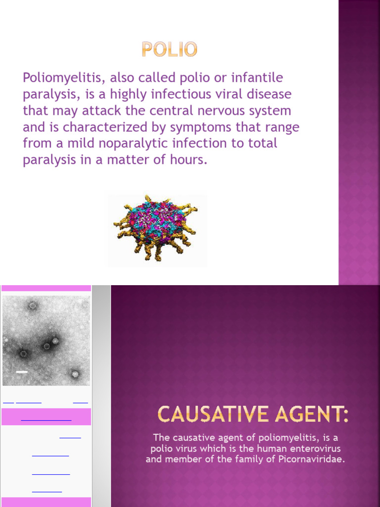 Polio | PDF