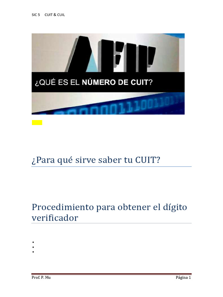 Diferencias entre CUIT y CUIL en Argentina | PDF