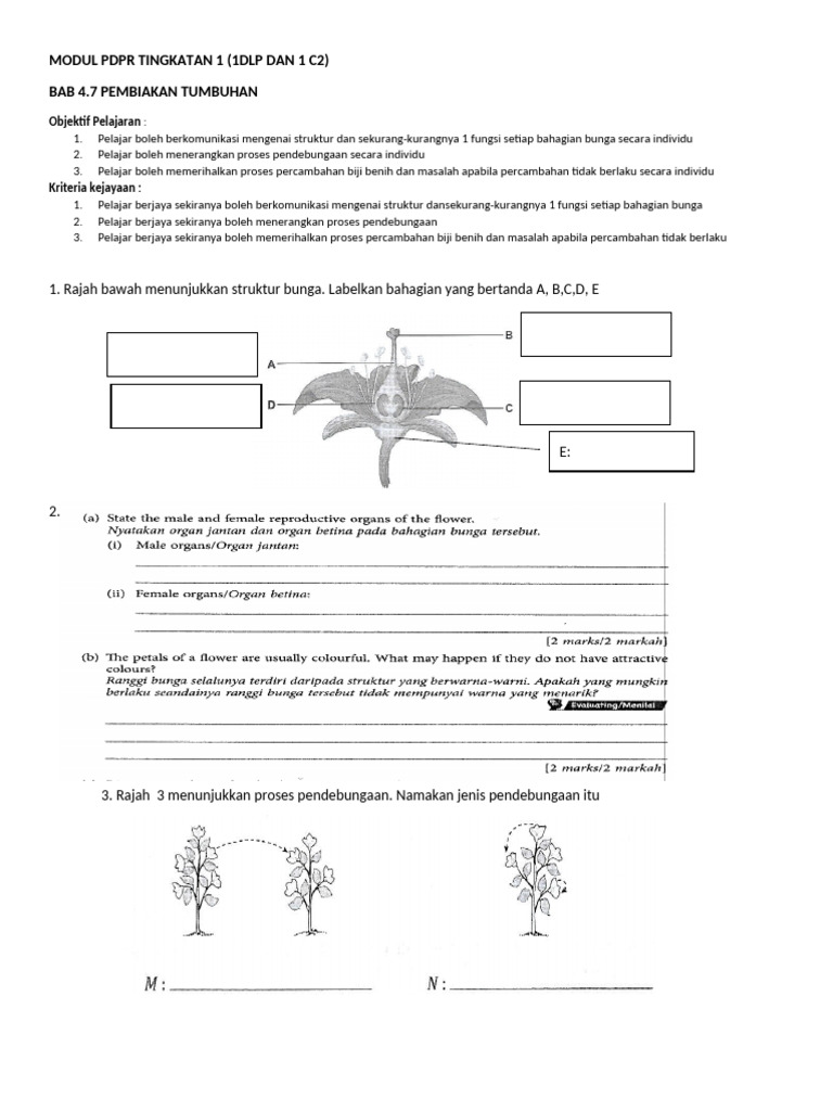 Modul Sains Tingkatan 1 14.6-18.6 A | PDF