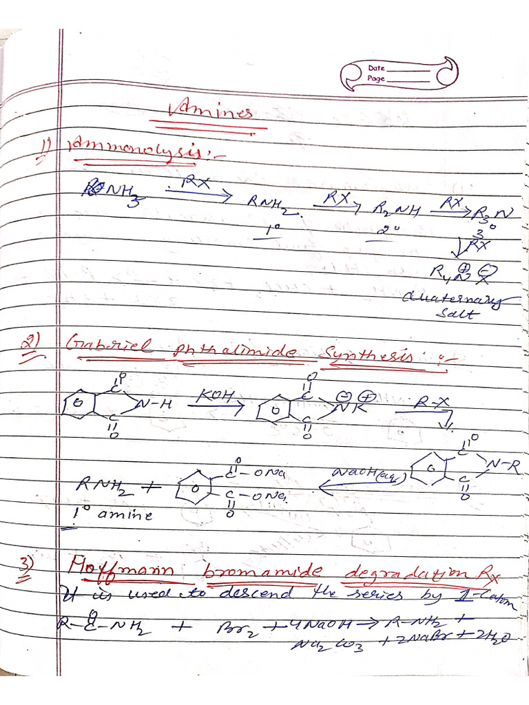 Solution Amines | PDF