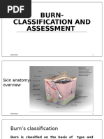 Burn Depth Classification and Staging | PDF