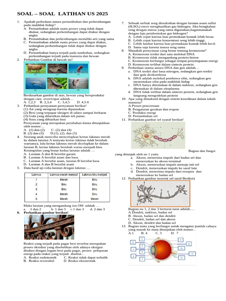 Soal Latihan Us 2025 | PDF