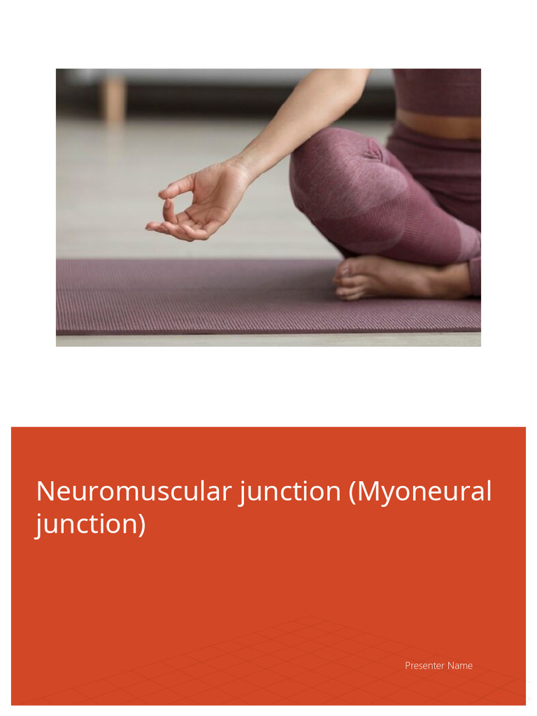 Neuromuscular Junction (Myoneural Junction) | PDF