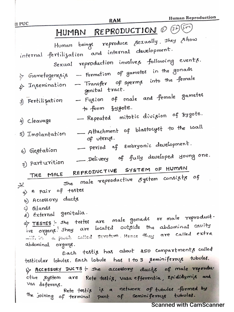 Human Reproduction | PDF