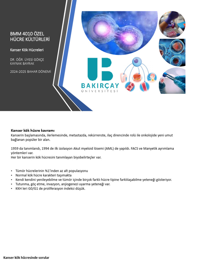 BMM 4010 Ders 6 | PDF