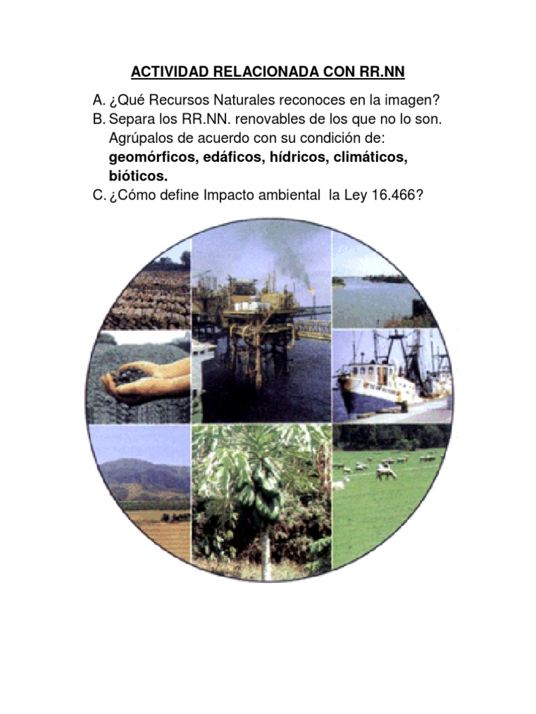 Actividad Ada Con RR | PDF
