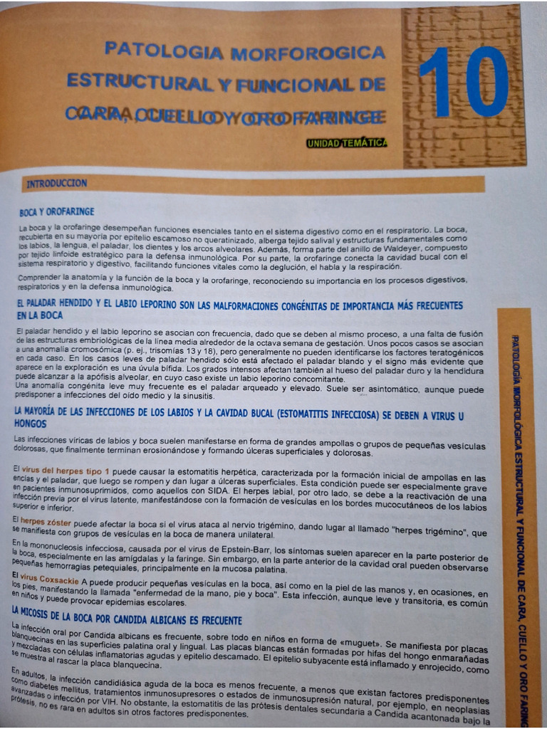Tema 10 Cara, Cuello y Orofaringe | PDF