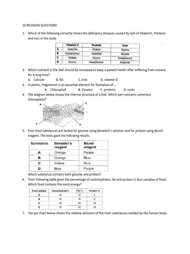 10 Bio Revision Questions 083434 | PDF | Photosynthesis | Plants