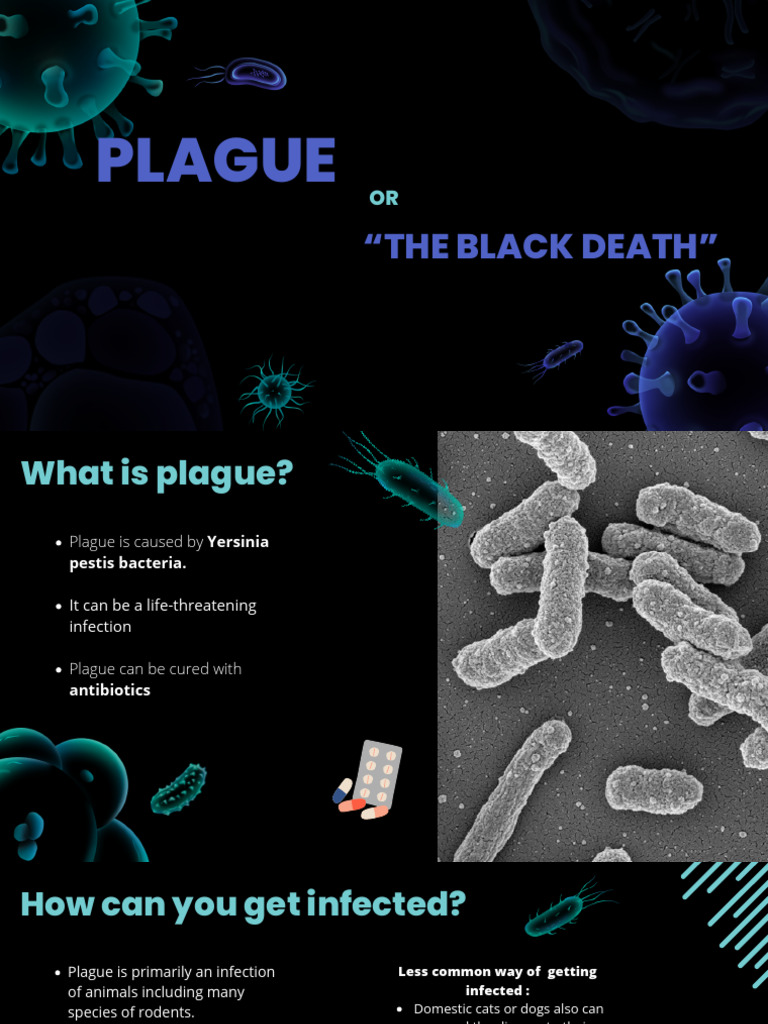 Understanding Plague and Its Impact | PDF