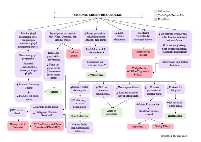 Woc CKD Stage 5 | PDF