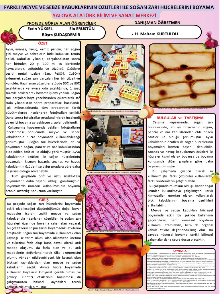 FARKLI MEYVE VE SEBZE KABUKLARININ ÖZÜTLERİ İLE SOĞAN ZARI HÜCRELERİNİ BOYAMA Poster | PDF