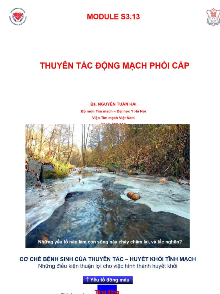 Thuyên tắc phổi y6 | PDF