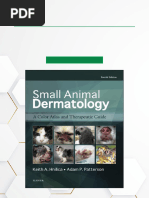 Pruritus Analog Scale 1 PVAS | PDF