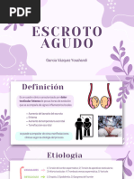 Anatomía del Escroto y Testículos | PDF | Testículo | Especialidades ...