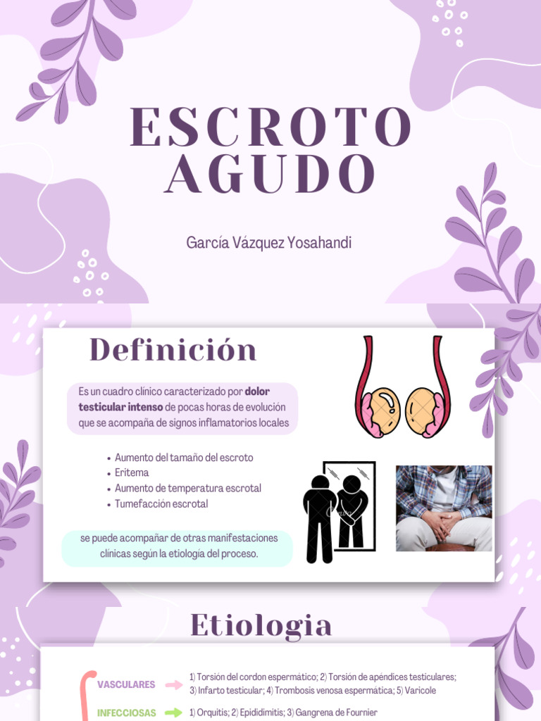 CLASE 11 SX de Escroto Agudo 11-09-24 Urología | PDF | Medicina CLINICA ...