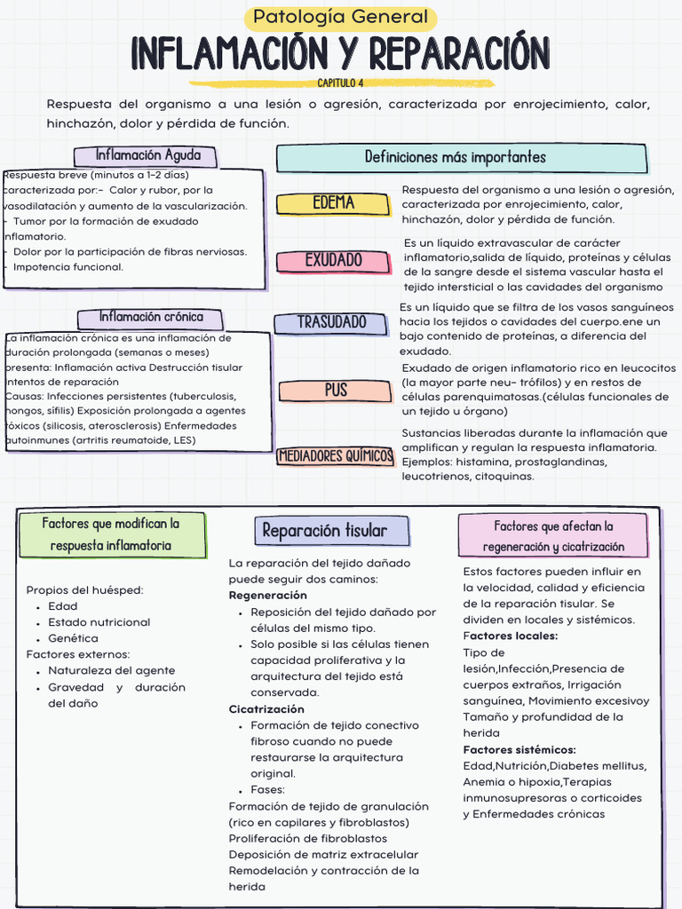 Documento A4 Organizador Gráfico de Conceptos e Ideas Resumen Moderno A ...