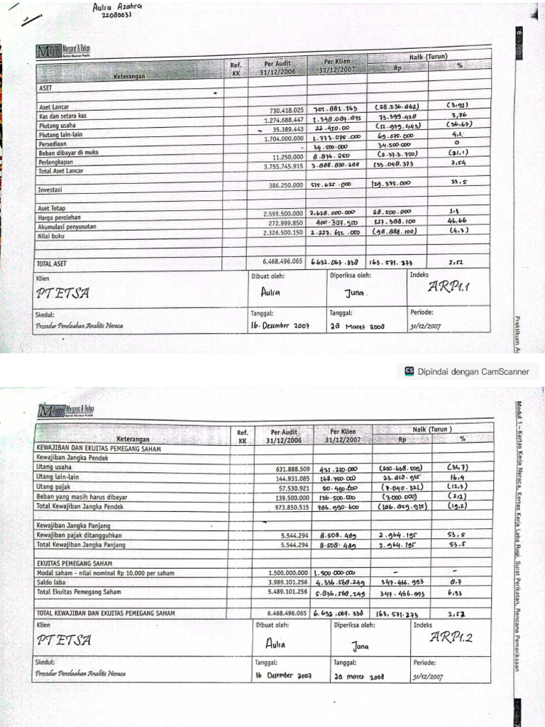 Contoh Audit Plan | PDF