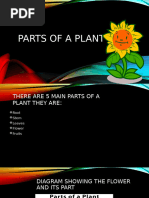 Guyana Driver's License Exam Guide | PDF