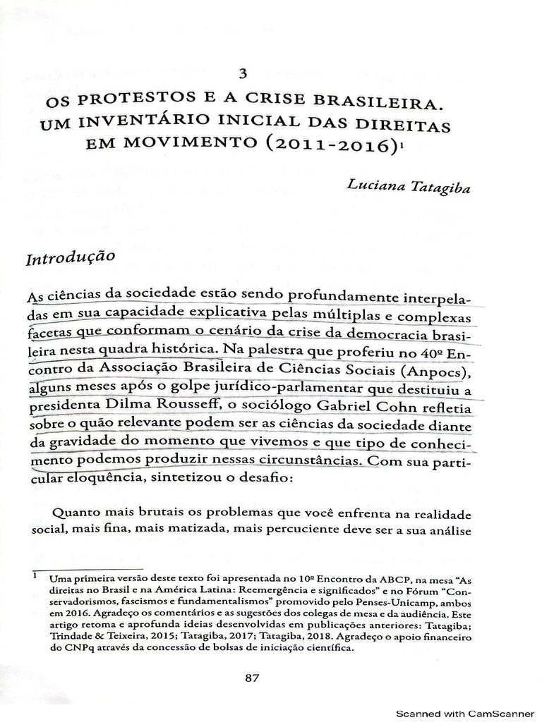 Os Protestos e A Crise Brasileira | PDF