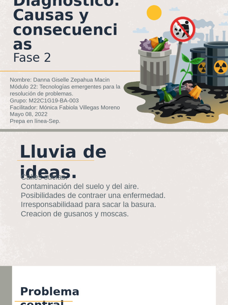 Diagnóstico. Causas y Consecuencias. Fase 2 | PDF