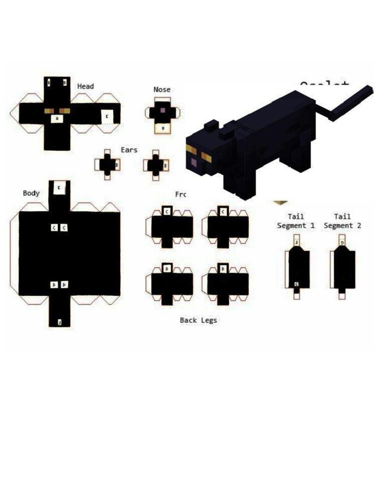 Figuras Gato Negro Minecraft | PDF