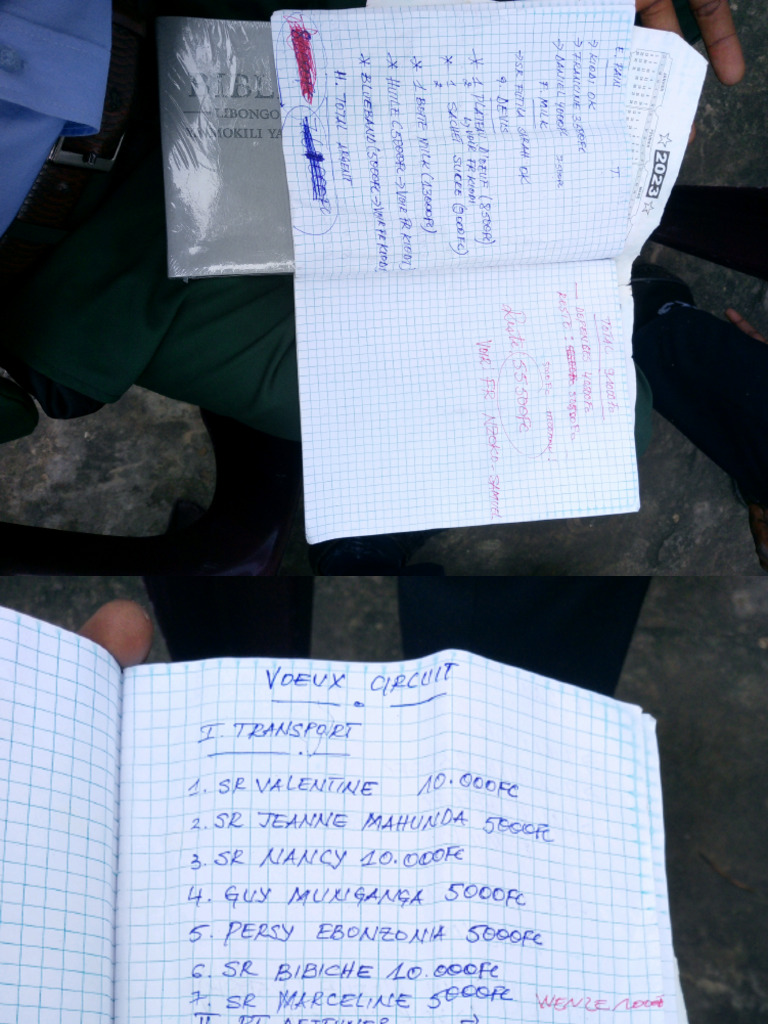 PDF Phoenix 20250525 191144 | PDF