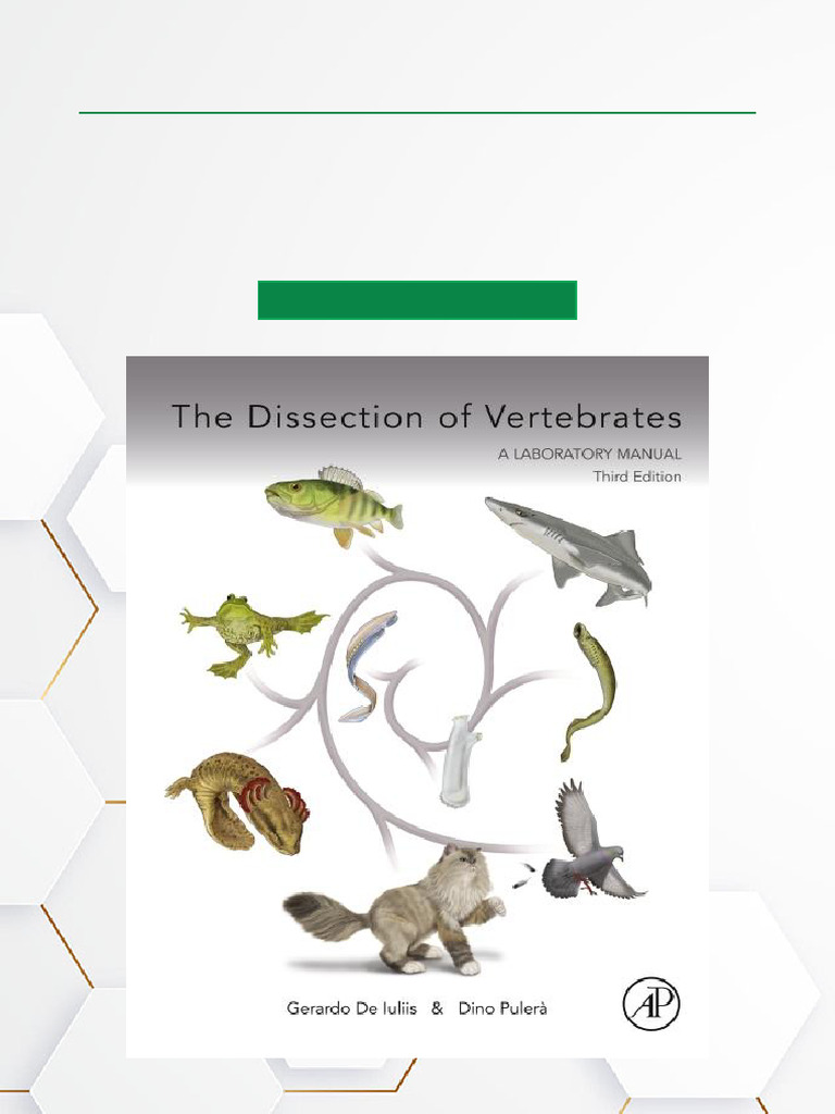 Dissection of Vertebrates Manual | PDF | Anatomical Terms Of Location ...