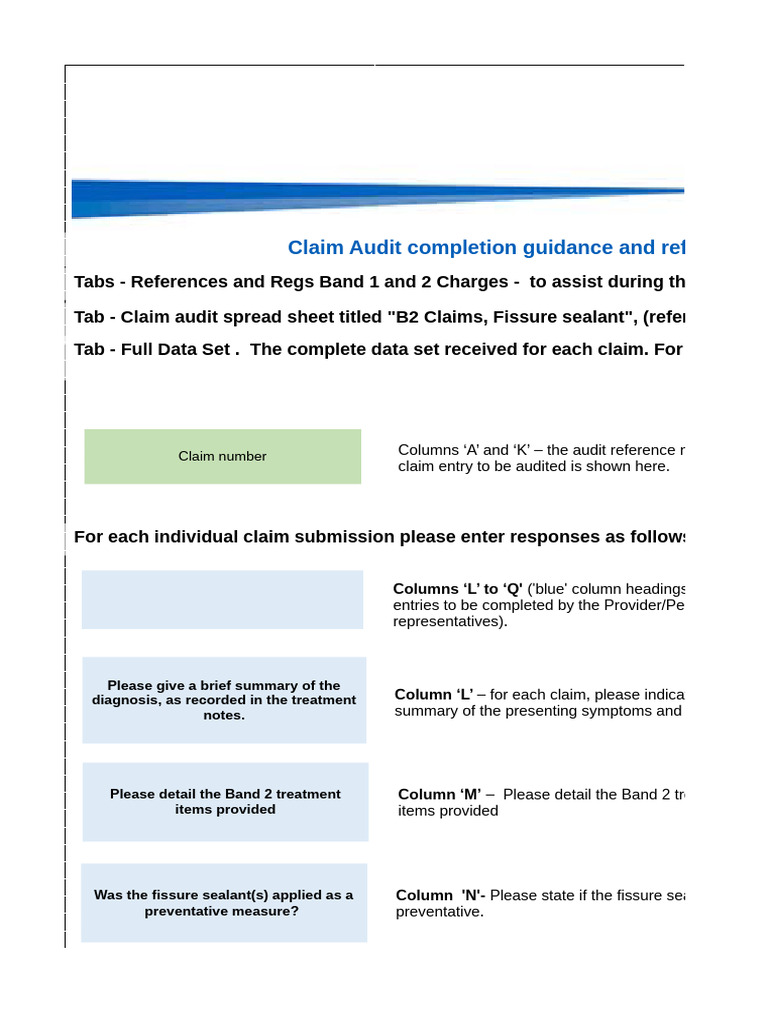 Claim Audit Guidance for Providers | PDF | Universal Health Care ...