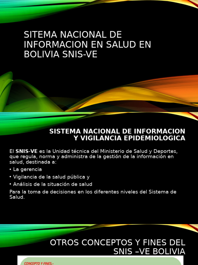 Snis Bolivia | PDF