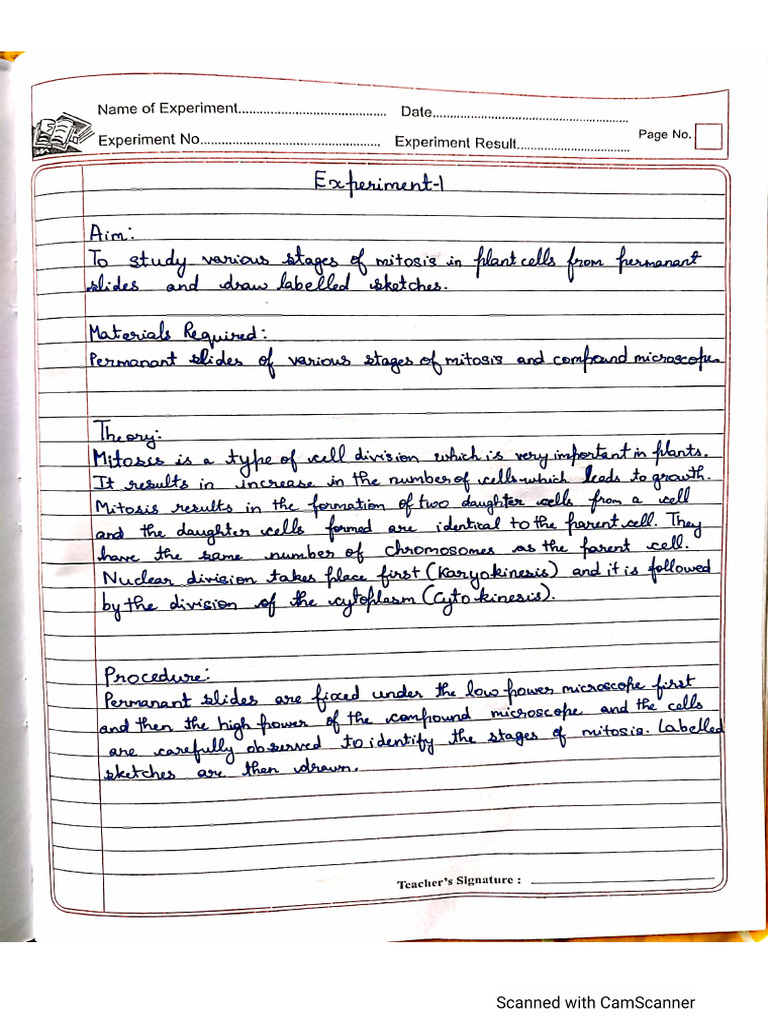 Bio Record File | PDF