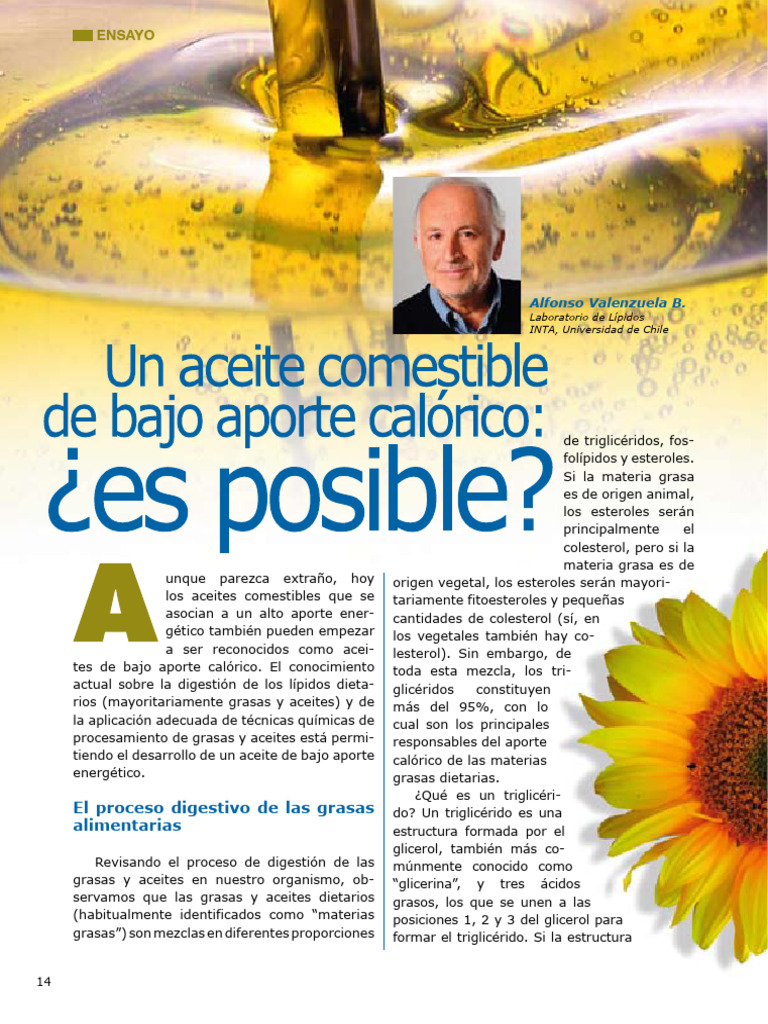 12693-Texto Del Artículo-30696-1-10-20230718 | PDF | gordo | Petróleo